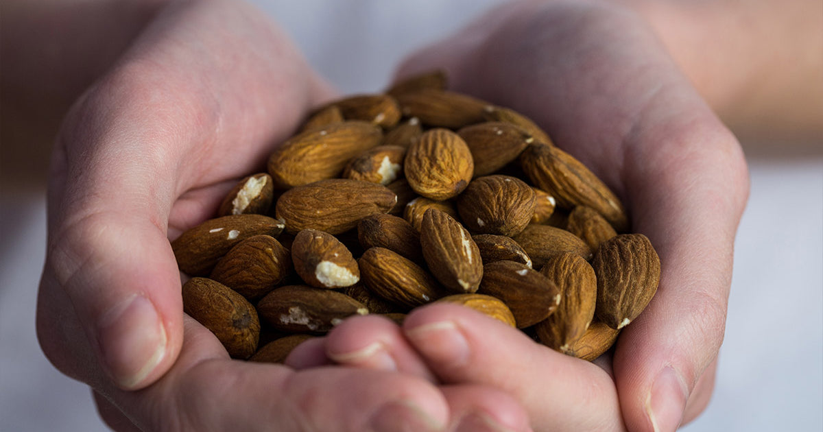 Die dunklen Seiten der Nüsse